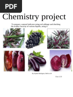 Purple Cabbage Acid-Base Indicator Experiment | PDF | Ph | Acid
