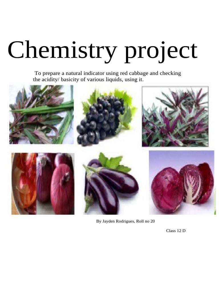 Chemistry project | PDF | Ph | Chemistry