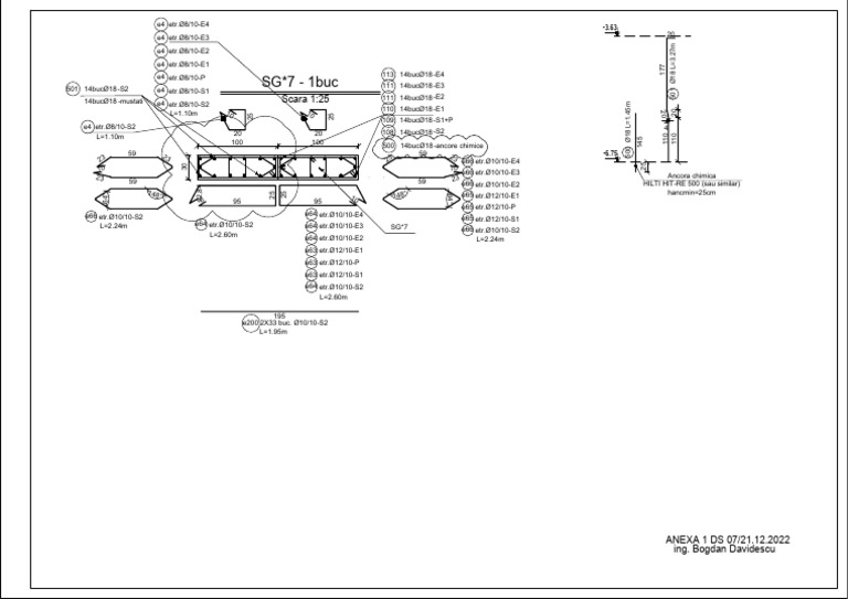 Anexa 1 Sg7-Anexa 1 | PDF