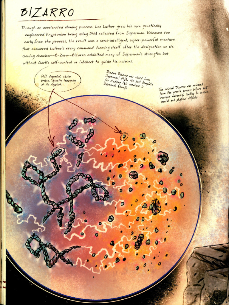 Anatomy of A Metahuman 11 Bizarro | PDF