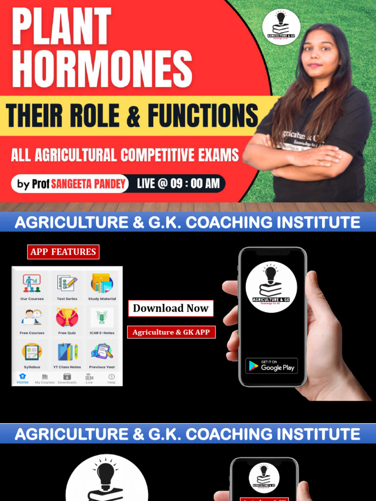 Functions of Plant Hormones Explained | PDF | Auxin | Plant Hormone