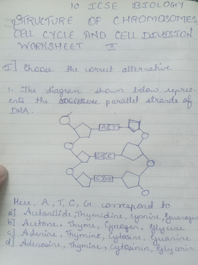 Structure of Chromosomes, Cell Cycle and Cell Division Worksheet 2 ...