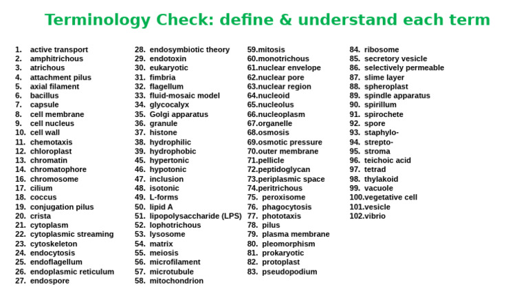 3 - Characteristics of Prokaryotic Eukaryotic Cells - Terminology Check ...
