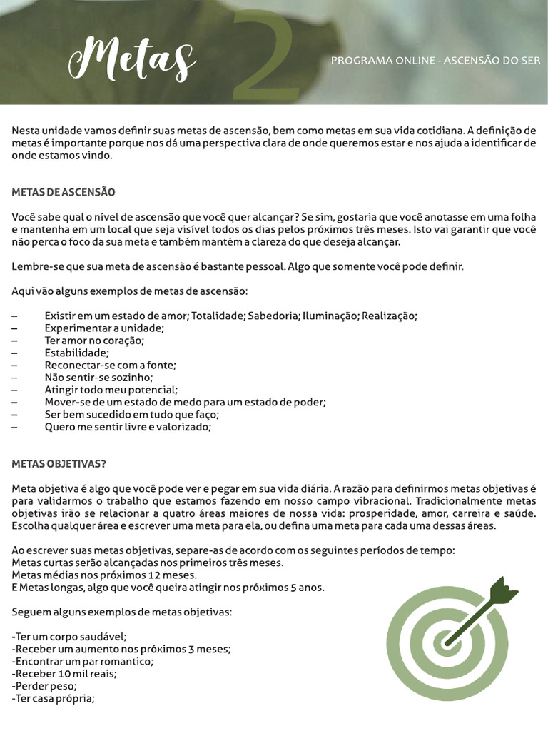 02 Definindo Metas | PDF