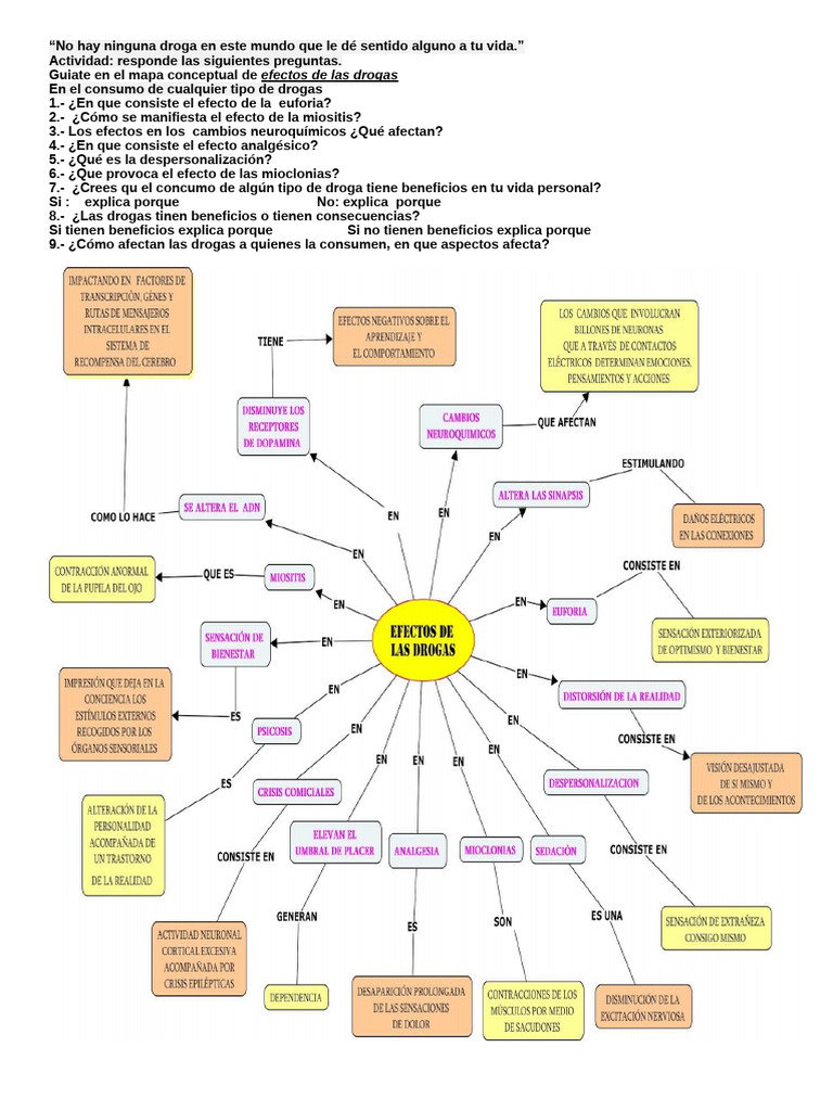 Cuest - Drogas - de Mapa Conc | PDF