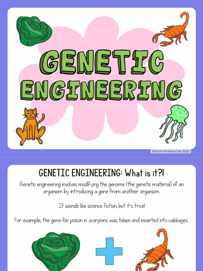 Genetic Engineering - Student Slides 2 | PDF | Genetic Engineering ...