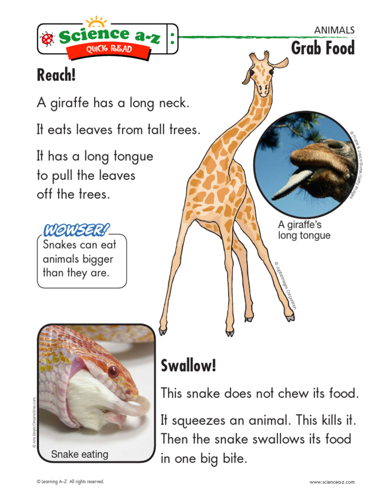 01b.animalsk-2 QR Grab Food Mid | PDF | Zoology