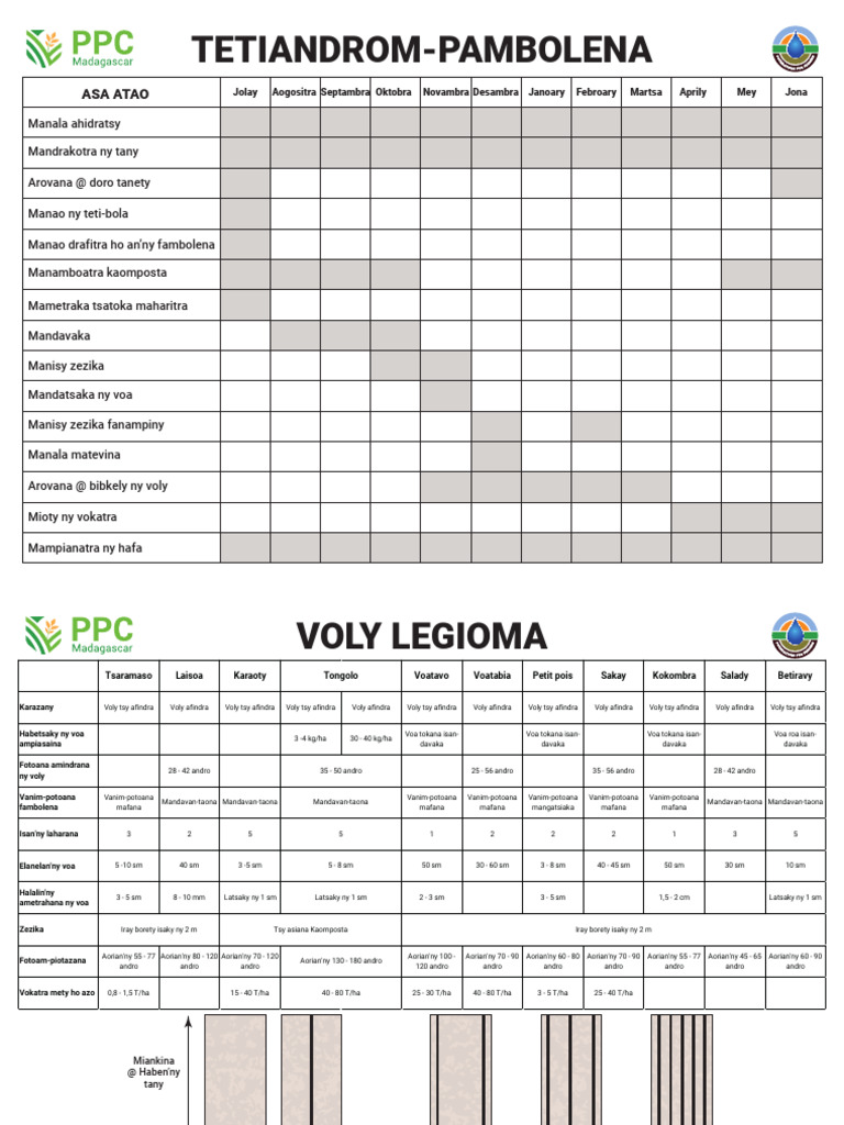Support Formation | PDF