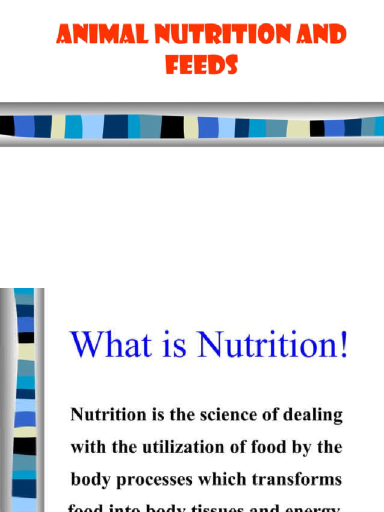 Animal Feeds | PDF