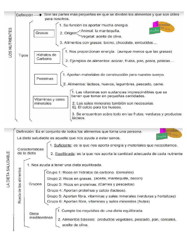 Tema 4 Esquema | PDF
