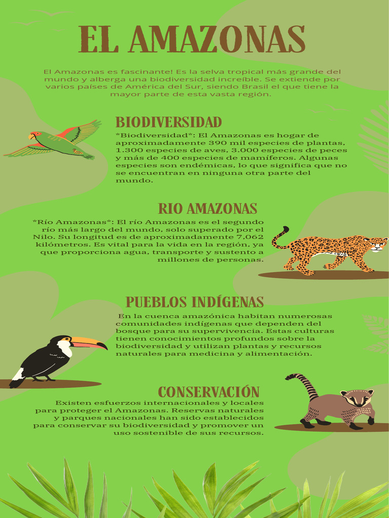 Infografía Amazonas Trabajo | PDF