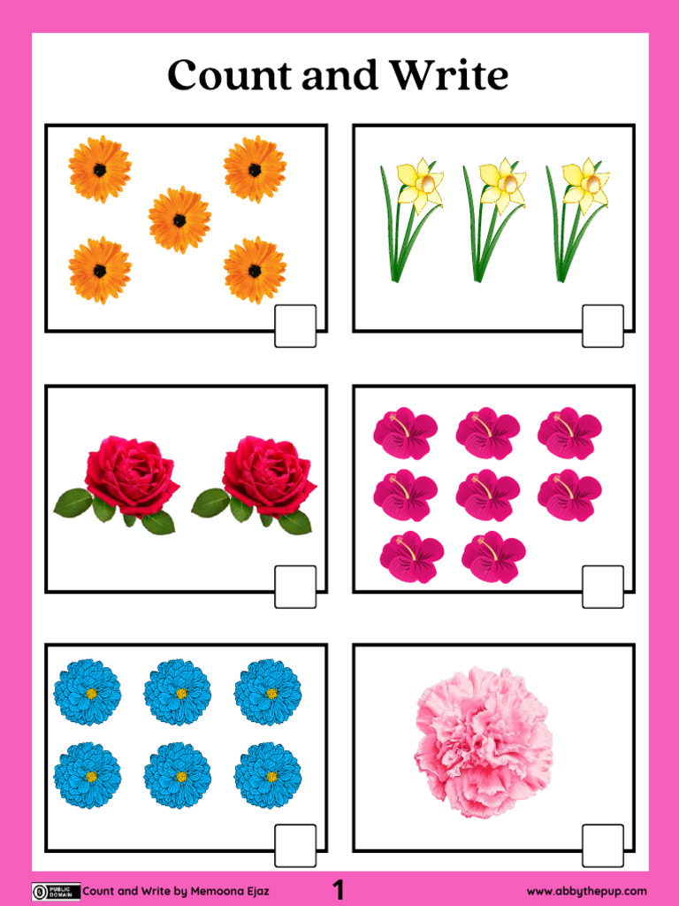 Count and Write Guide | PDF