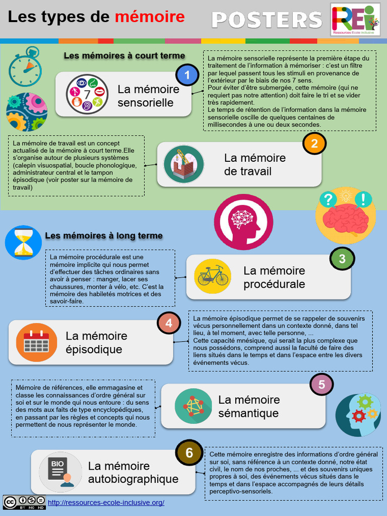 Types de mémoire : Guide complet | PDF | Mémoire | Mémoire de travail
