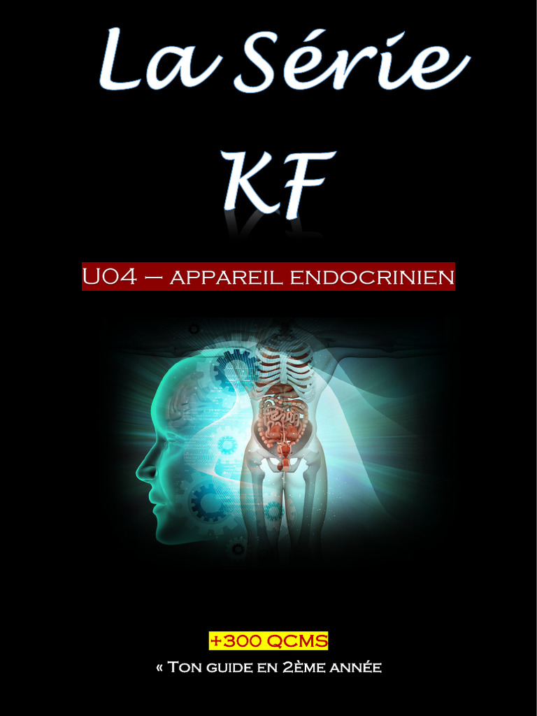 Anatomie et physiologie de l'appareil endocrinien | PDF | Hypophyse ...