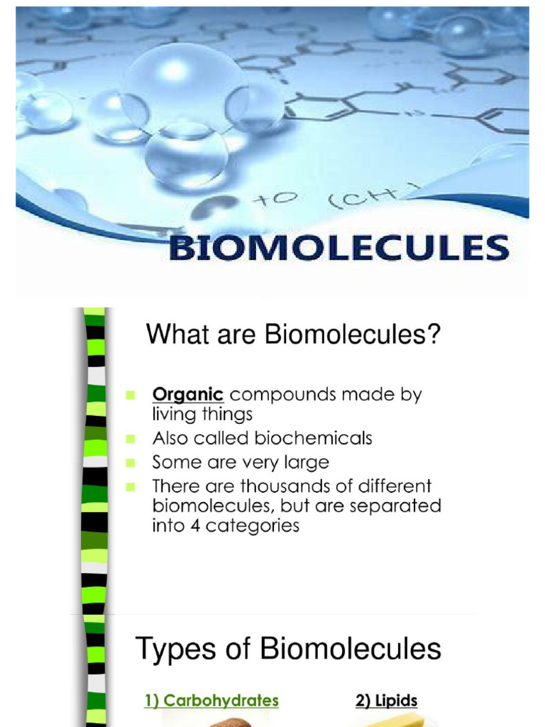 BIOMOLECULES | PDF