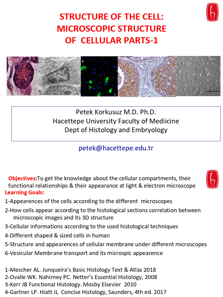 Cell Structure & Microscopy Guide | PDF | Cell Membrane | Biological ...