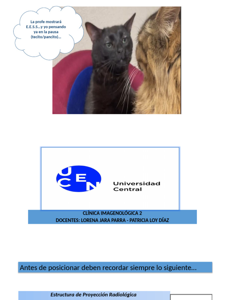 Clase 2 Eess Imagenologia | PDF | Mano | Hombro