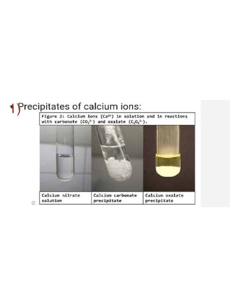 Pictures of Experiment 1.1 To Study The Cations (Ca2+, Cu2+, Fe2+, Fe3 ...