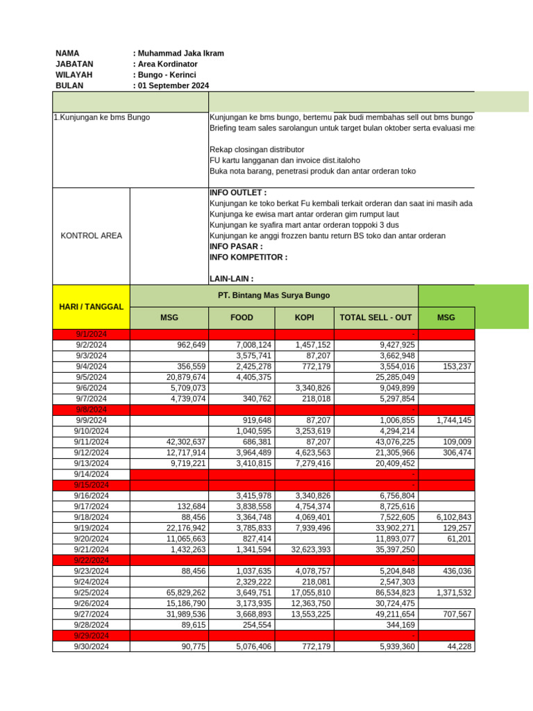 Laporan Aktivitas Harian | PDF