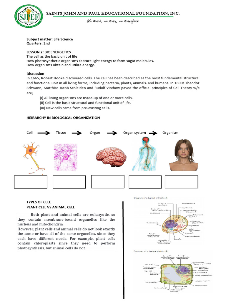 LifeSci 2 | PDF