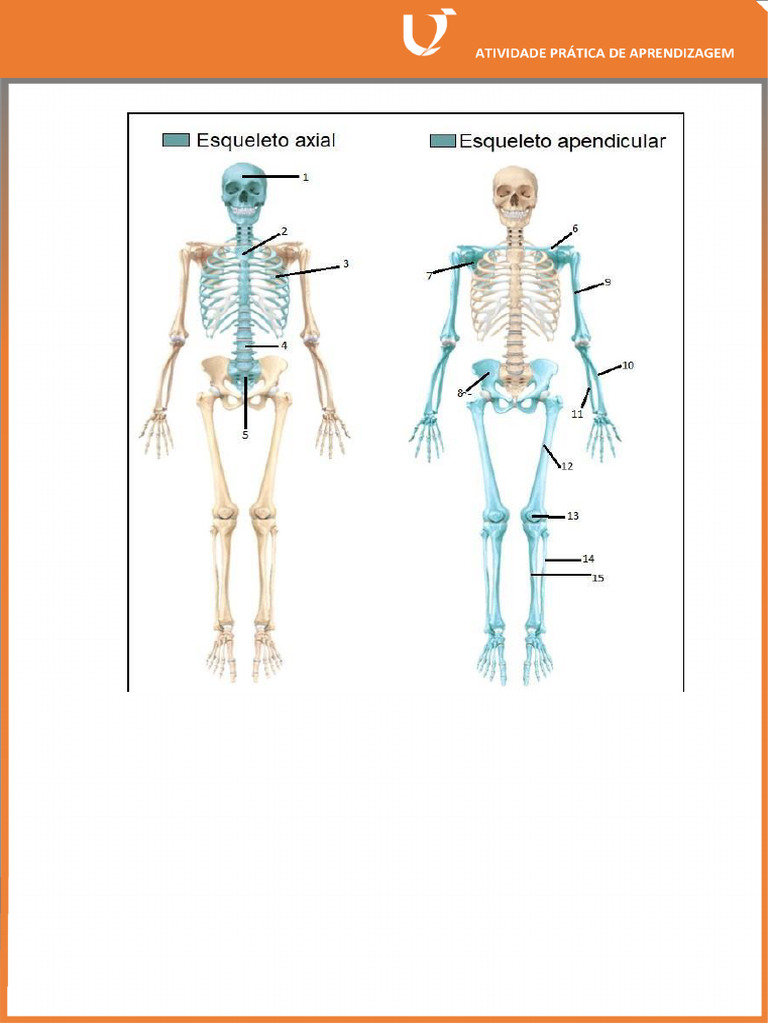 Pluginfile PHP | PDF