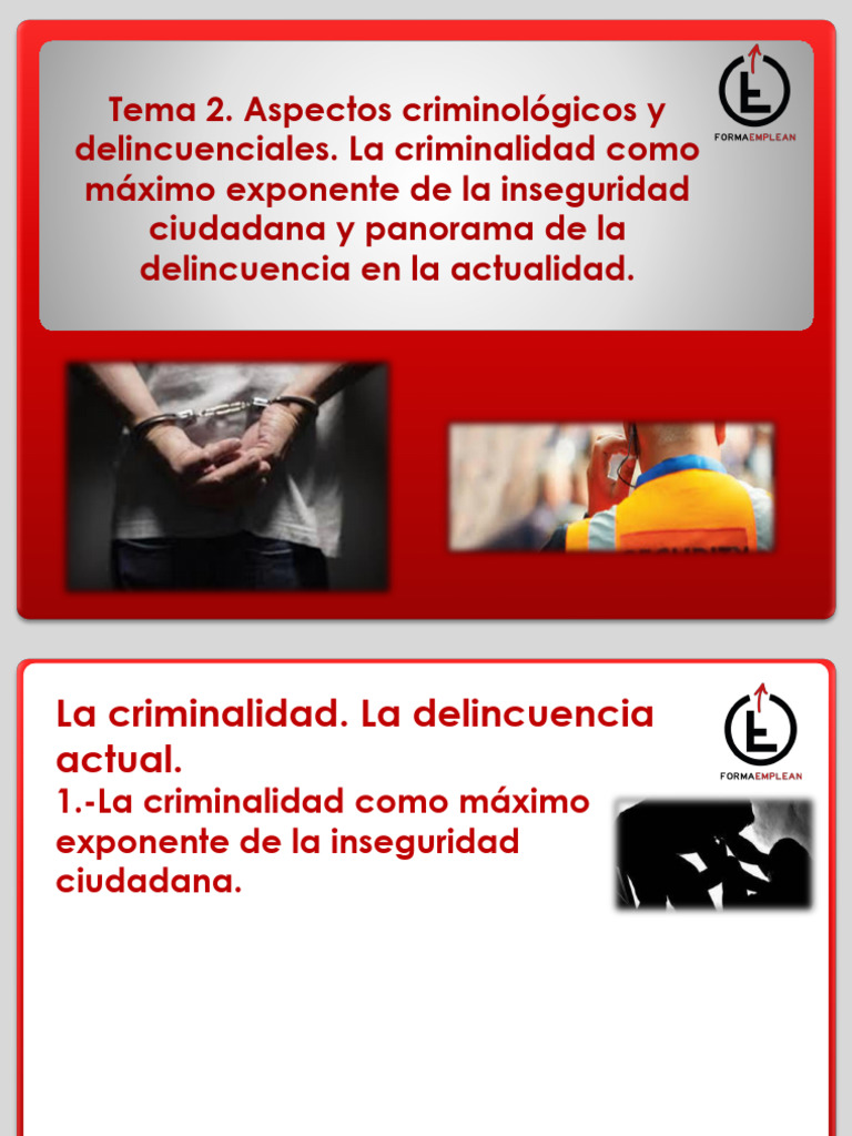 La Criminalidad Como Máximo Exponente de La Inseguridad Ciudadana y Panorama de La Delincuencia ...