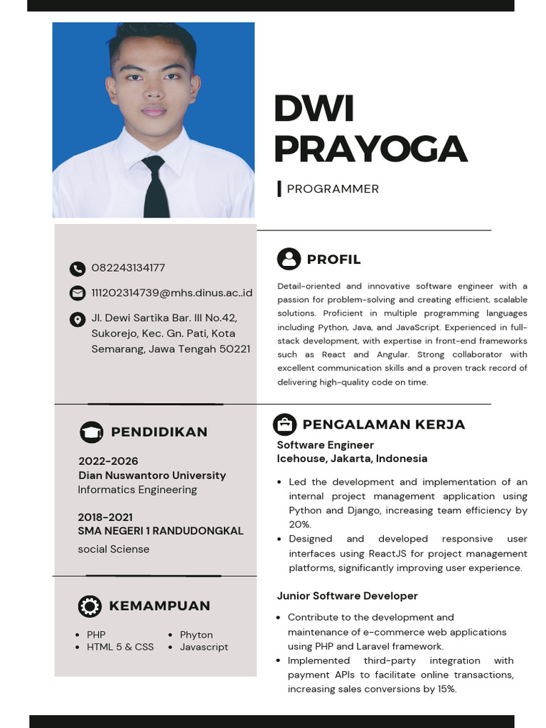 Aspiring Software Engineer Profile | PDF