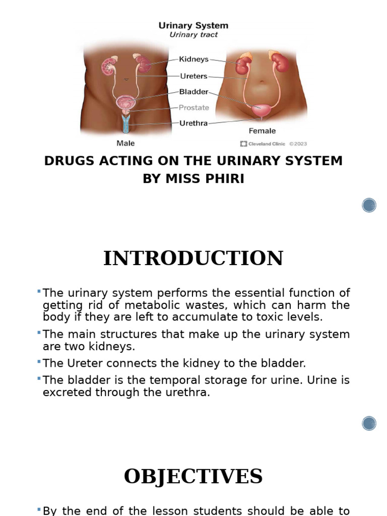 Drugs Acting On The Urinary System | PDF | Urine | Urinary System