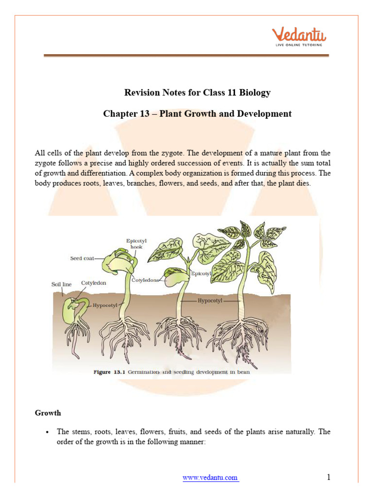 Class 11 Biology: Plant Growth Notes | PDF | Plant Hormone | Auxin