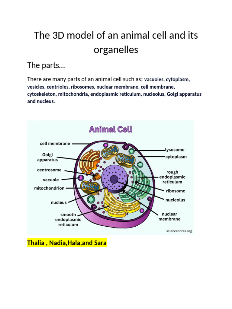 Animal Cell Structure and Functions | PDF
