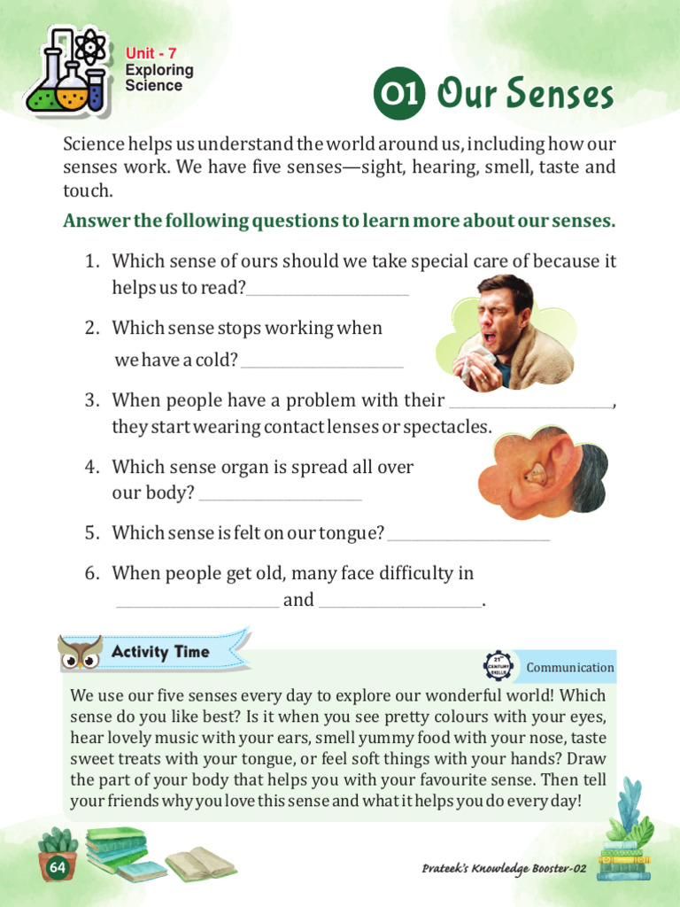 Understanding Our Five Senses | PDF | Atmosphere Of Earth | Senses