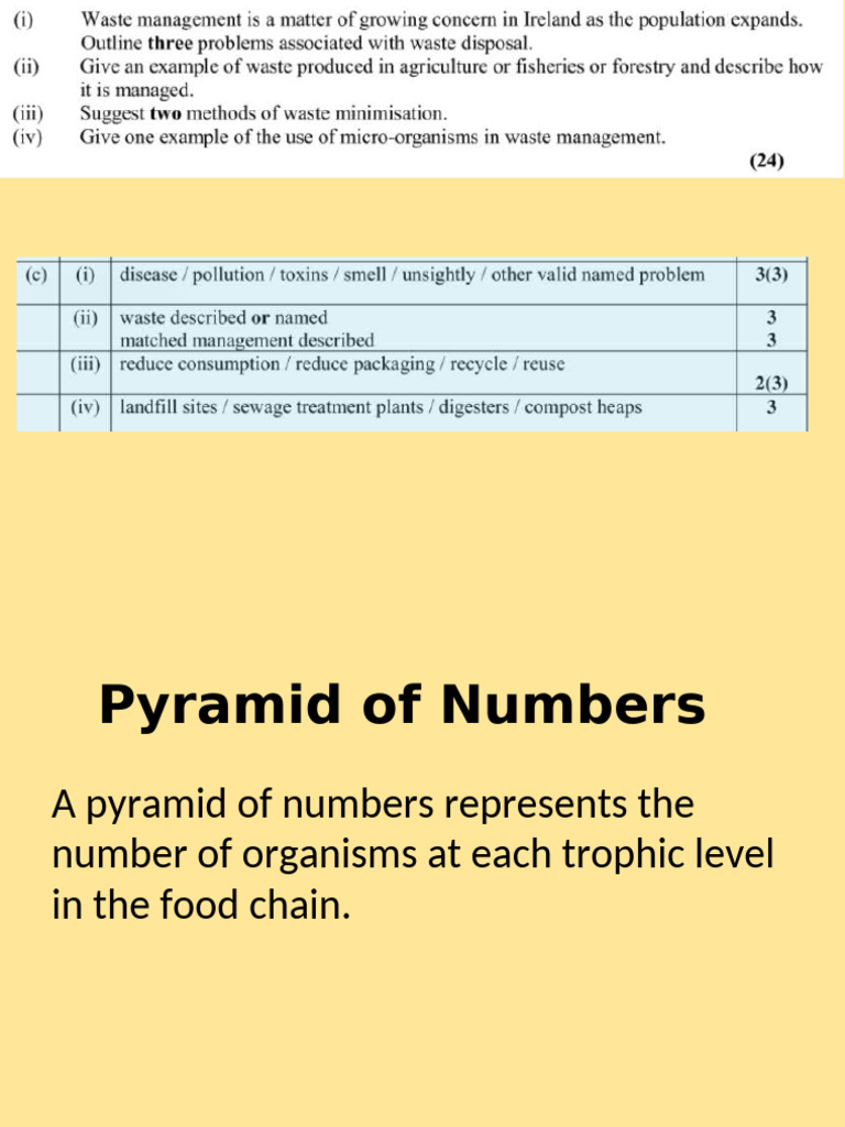 1.4.10.H Pyramid of Numbers PKI | PDF | Food Web | Natural Environment