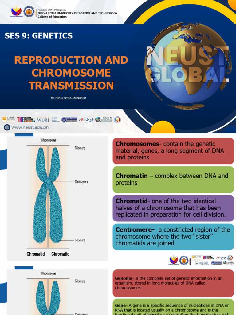 Lecture 2 Reproduction and Chromosome Transmission | PDF | Meiosis ...