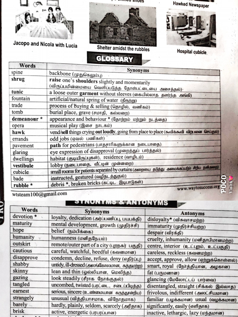 Adobe Scan 24-Jan-2025.pdf English Syn and Ant | PDF