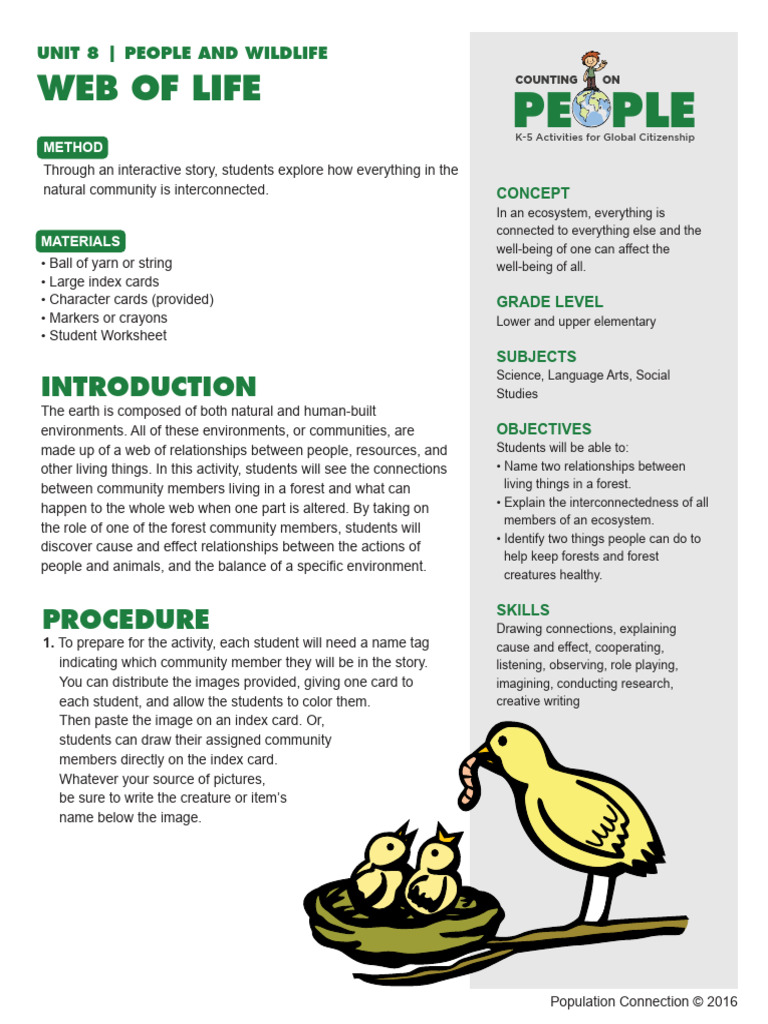 Web of Life Activity for K-5 Students | PDF