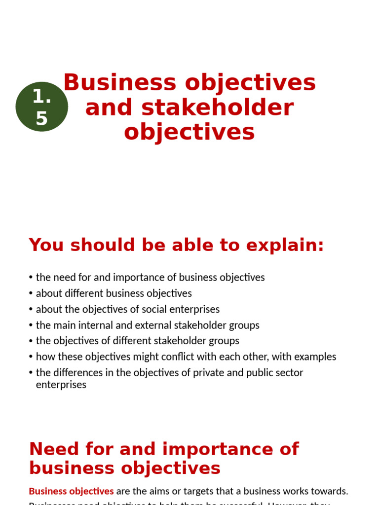 Business & Stakeholder Objectives | PDF | Employment | Business