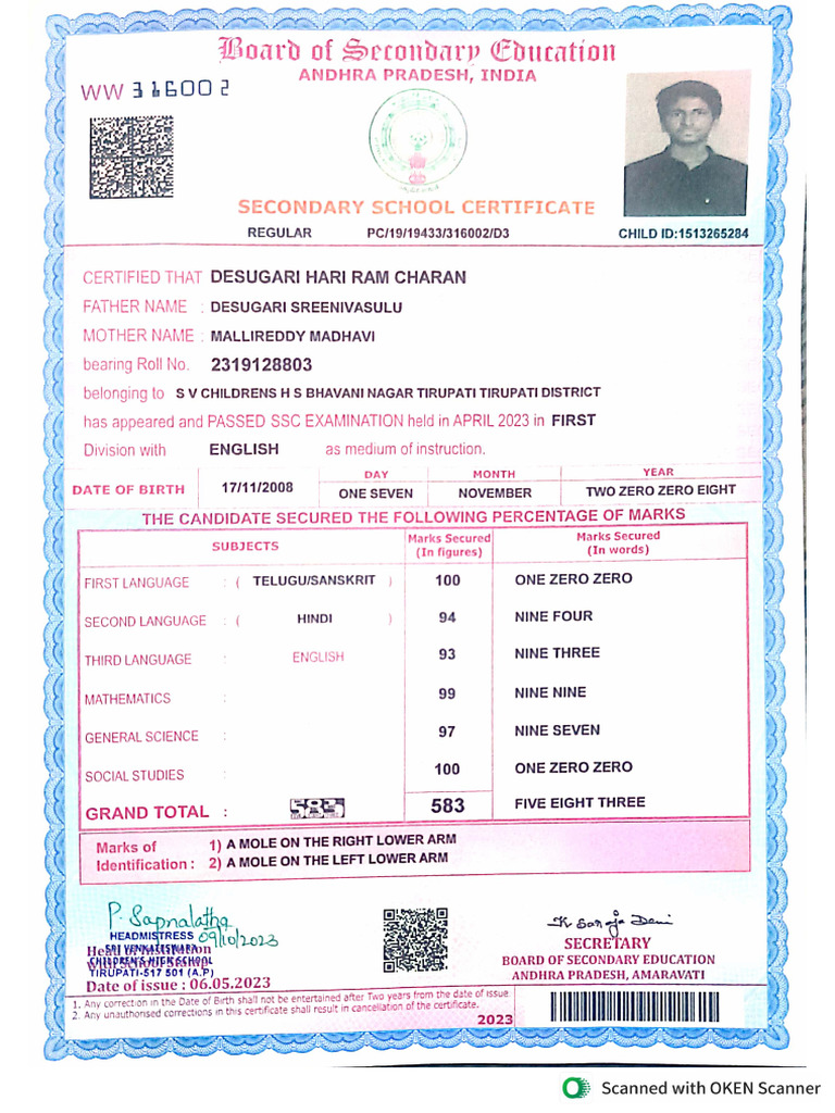 Class X Mark Sheet | PDF
