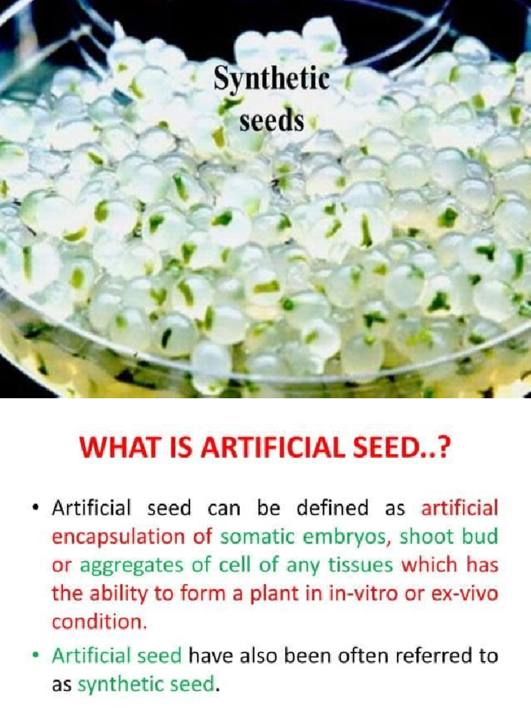 Artificial seed | PDF