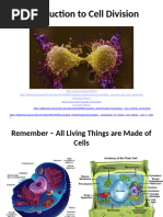 Amoeba Sisters Cell Cycle-1 | PDF | Mitosis | Chromosome