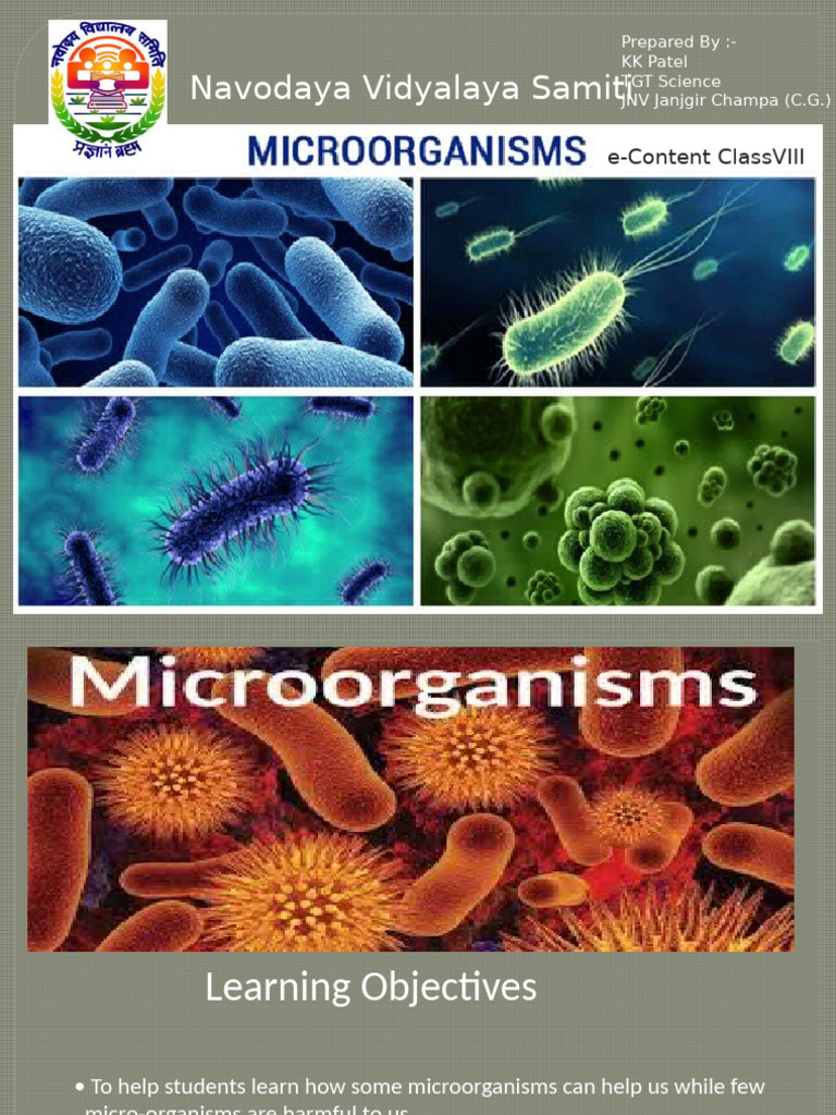 Microorganisms: Friends or Foes? | PDF | Microorganism | Yeast