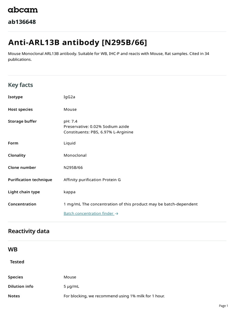Arl13b Antibody n295b 66 Ab136648 | PDF | Immunohistochemistry ...