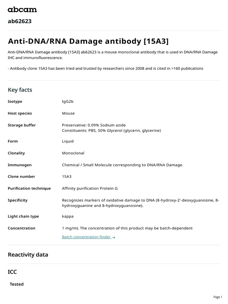 Dna Rna Damage Antibody 15a3 Ab62623 | PDF | Immunohistochemistry ...