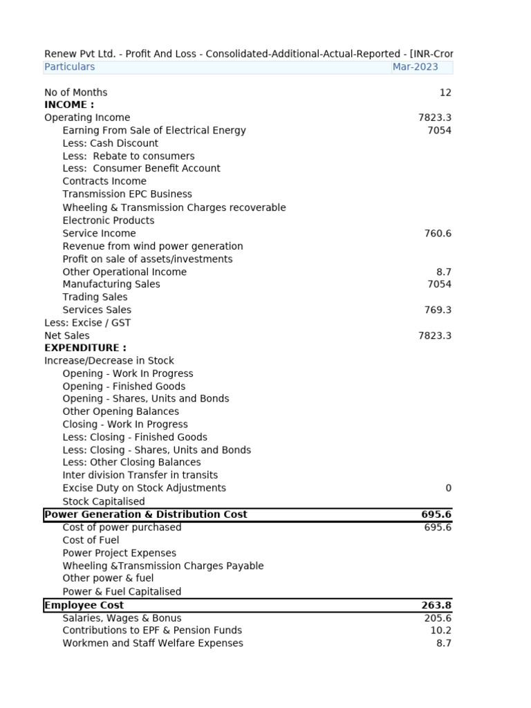 Renew Pvt Ltd Consolidated P&L Report | PDF | Taxes | Expense