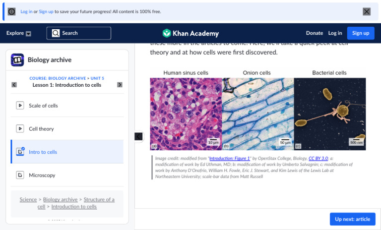 Intro To Cells (Article) Khan Academy | PDF