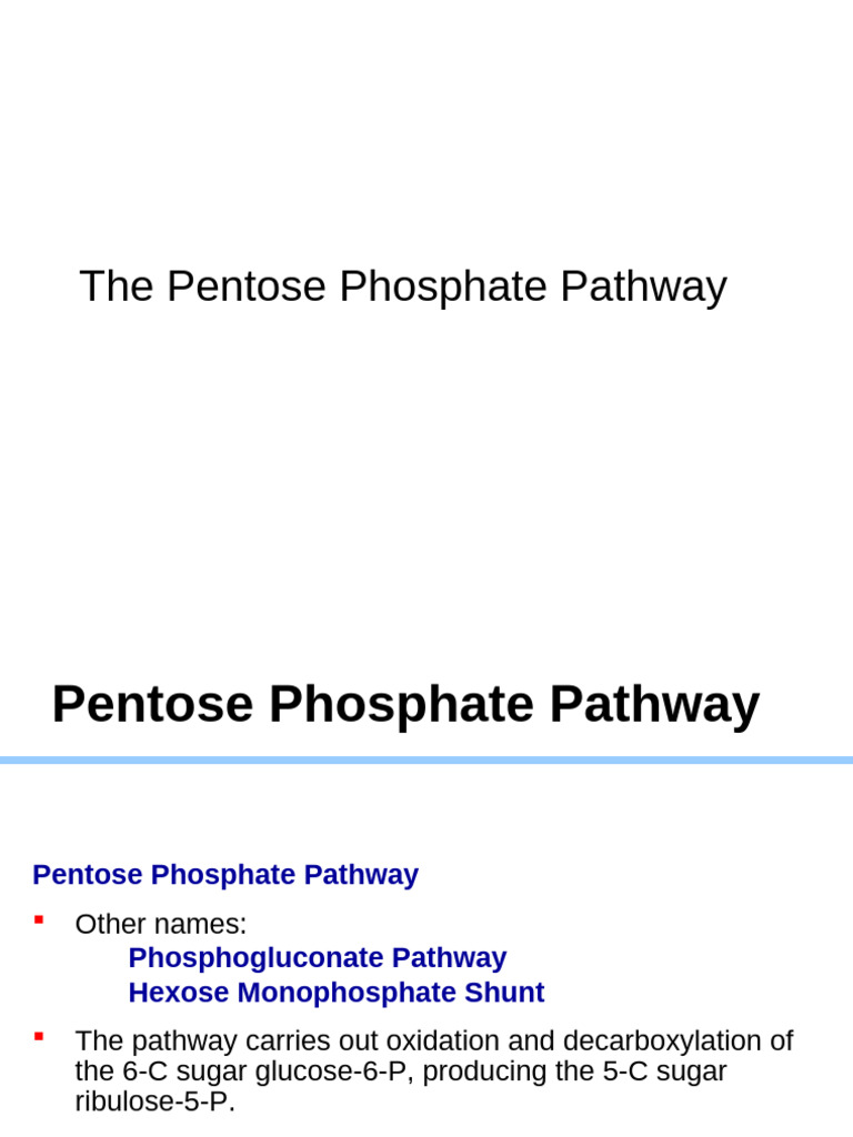 Pentose Phosphate Pathaway February 2021 | PDF | Nicotinamide Adenine ...
