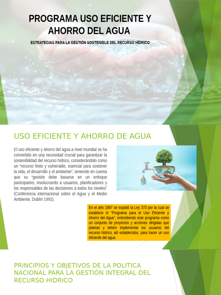 Programa Uso Eficiente y Ahorro Del Agua | PDF | Sustentabilidad | Agua
