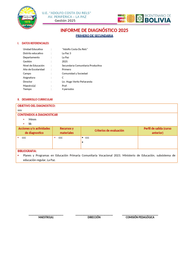 Formato Informe de Diagnóstico Acdr 2025 | PDF