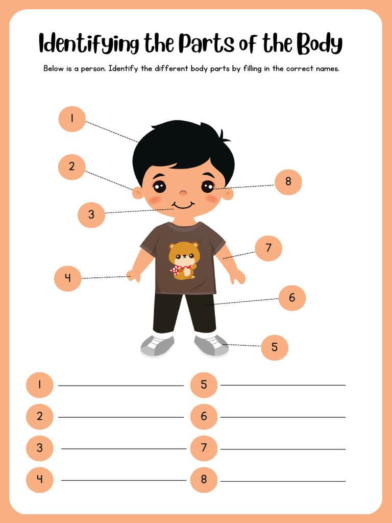 Body Parts Identification Worksheet | PDF