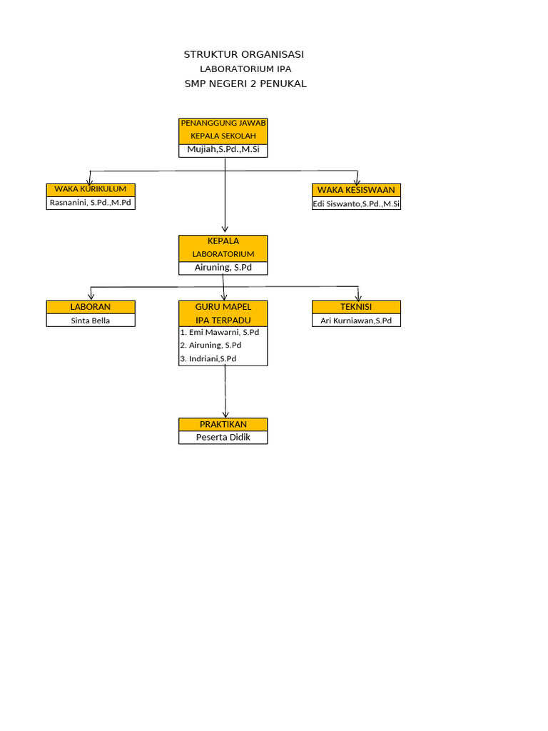 Struktur Organisasi Laboratorium Ipa | PDF