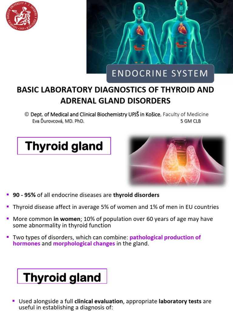 11 Endocrinoly Lab Testss | PDF | Hypothyroidism | Thyroid